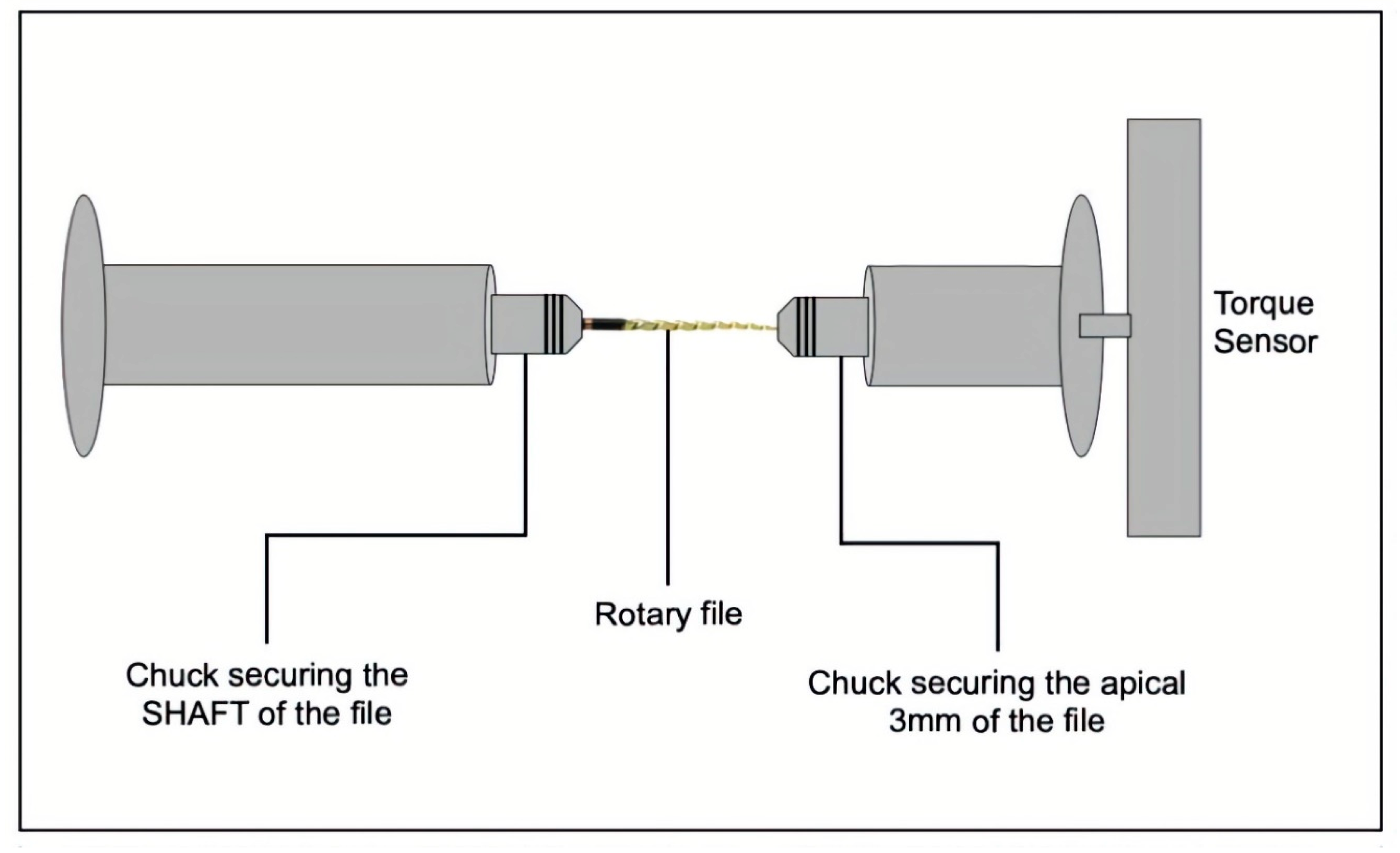 Cyclic Fatigue, Torsional Resistance, and Angular Deflection of Two ...