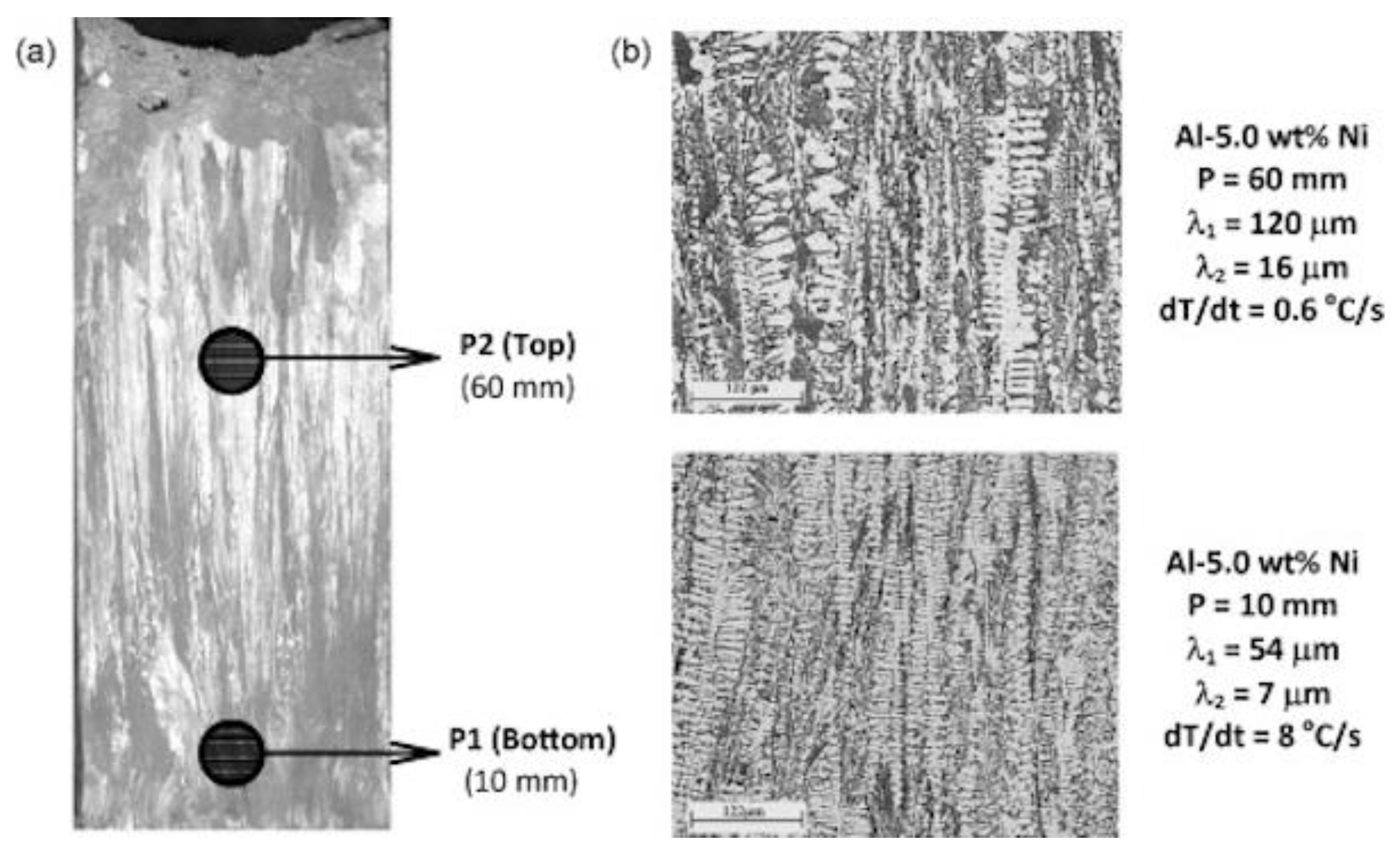 Does Cast Aluminum Corrode At Matthew Newman Blog