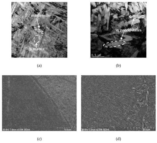 Thermomechanical Processing of Cost-Affordable Powder Metallurgy Ti-5Fe ...