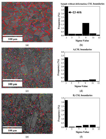EBSD Study of Delta-Processed Ni-Based Superalloy