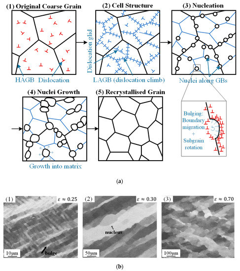 Metals | Free Full-Text | A Review of Microstructural Evolution and ...