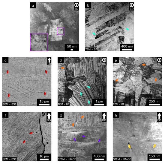Laser Powder Bed Fusion of NiTiHf High-Temperature Shape Memory Alloy ...