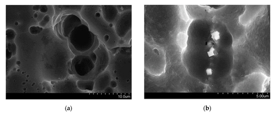 Effect of Microstructure on Corrosion Behavior of WE43 Magnesium Alloy ...