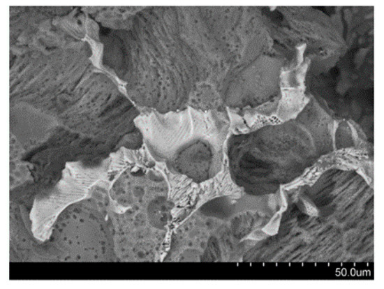 Effect of Microstructure on Corrosion Behavior of WE43 Magnesium Alloy ...