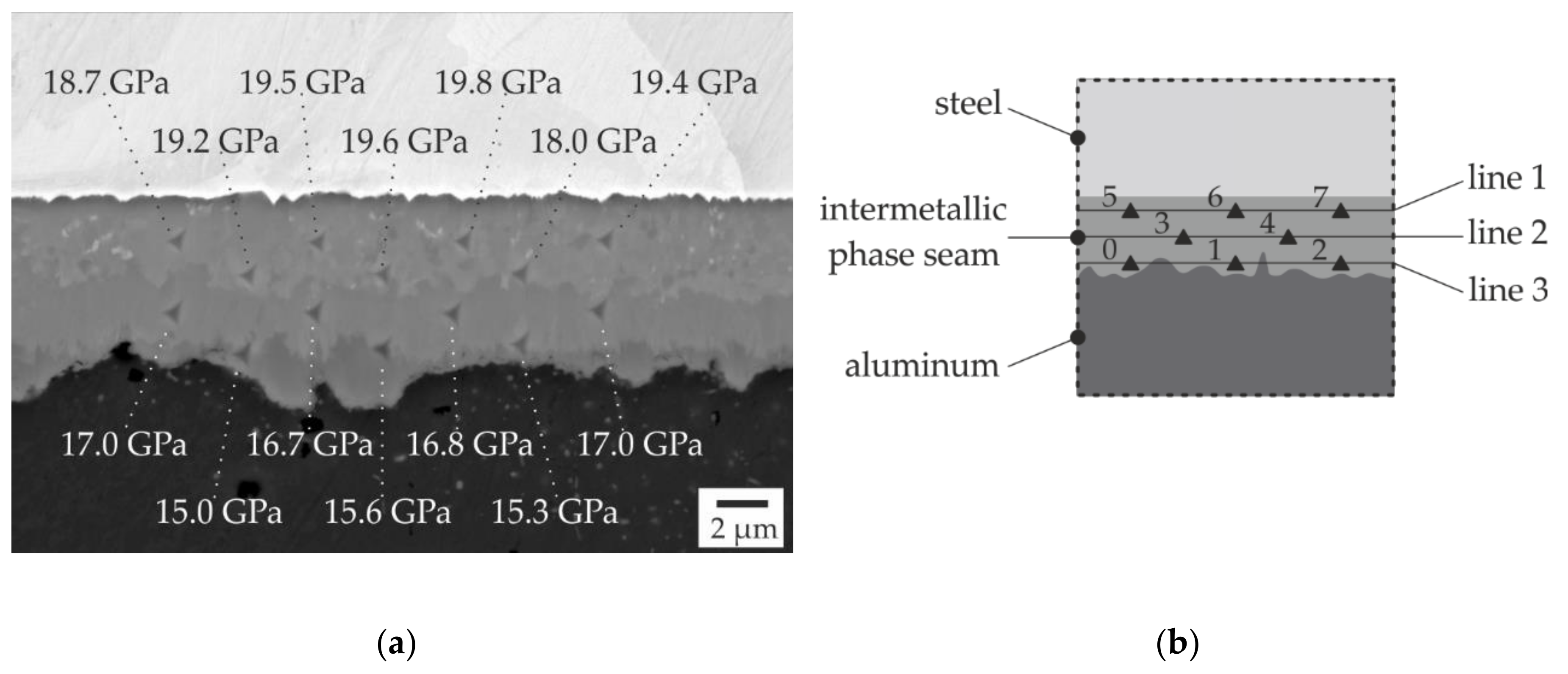 Characterization and Modeling of Intermetallic Phase Formation during ...