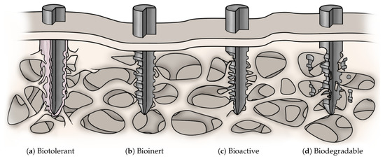Structural and Biomedical Properties of Common Additively Manufactured ...