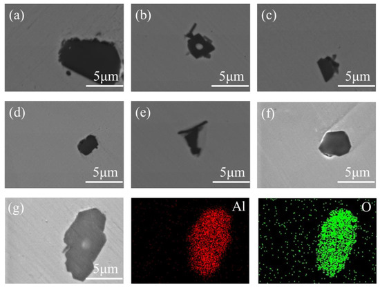 Metals | Free Full-Text | Modification of Alumina Inclusions in SWRS82B ...