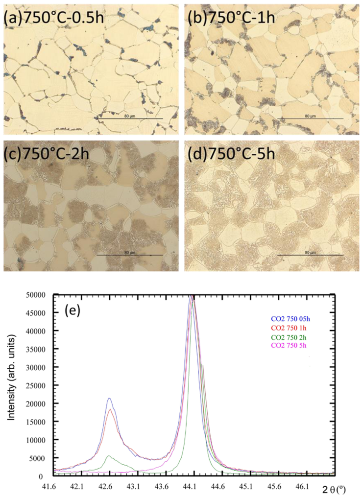 Evolution of Microstructure during Isothermal Treatments of a Duplex ...