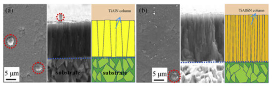Characteristics and Wear Mechanisms of TiAlN-Based Coatings for ...