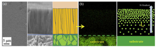 Characteristics and Wear Mechanisms of TiAlN-Based Coatings for ...