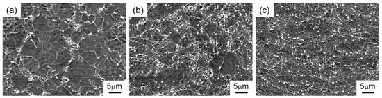 Ratcheting-Fatigue Behavior of Harmonic-Structure-Designed SUS316L ...
