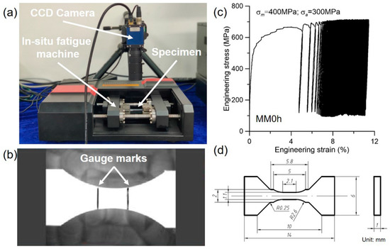 Ratcheting-Fatigue Behavior of Harmonic-Structure-Designed SUS316L ...