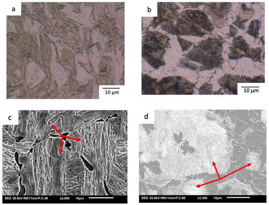 Properties of Passive Films Formed on Ferrite-Martensite and Ferrite ...
