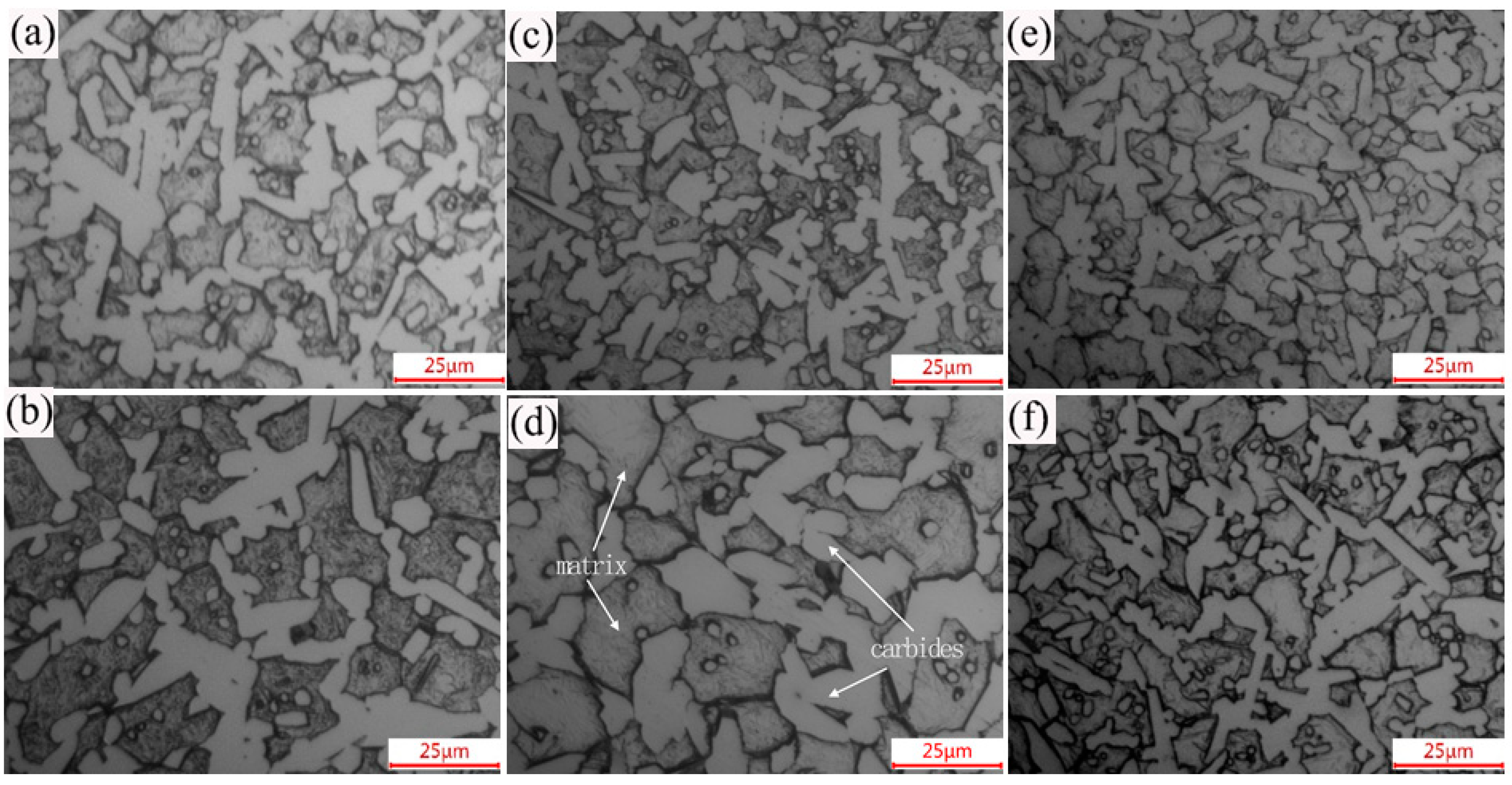 Fixed and Variable Temperature Super-Solidus Liquid Phase Sintering of High Chromium Cast Iron ...