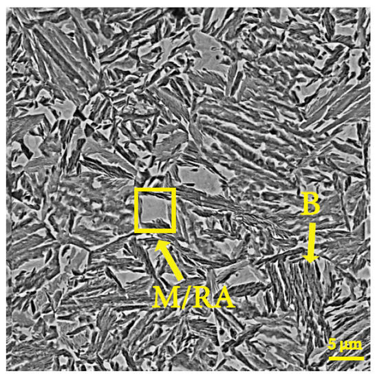 Metals | Free Full-Text | Color Light Metallography Versus Electron ...