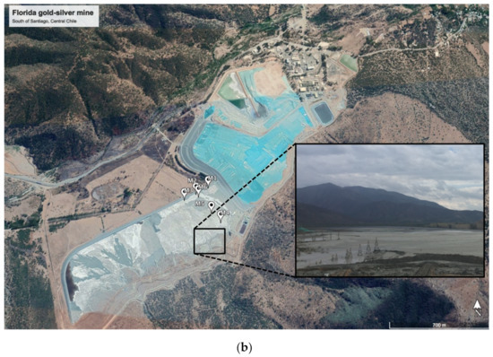 Acid Mine Drainage Dynamics from a Paste Tailing Deposit: Effect of ...