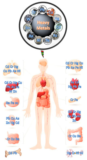 A Short Review on Recent Advances of Hydrogel-Based Adsorbents for ...