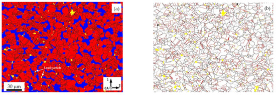 Microstructure and Texture Development in Thermomechanically Processed ...