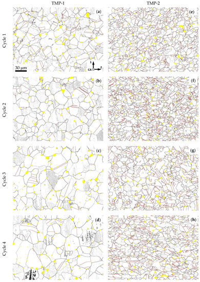 Microstructure and Texture Development in Thermomechanically Processed ...