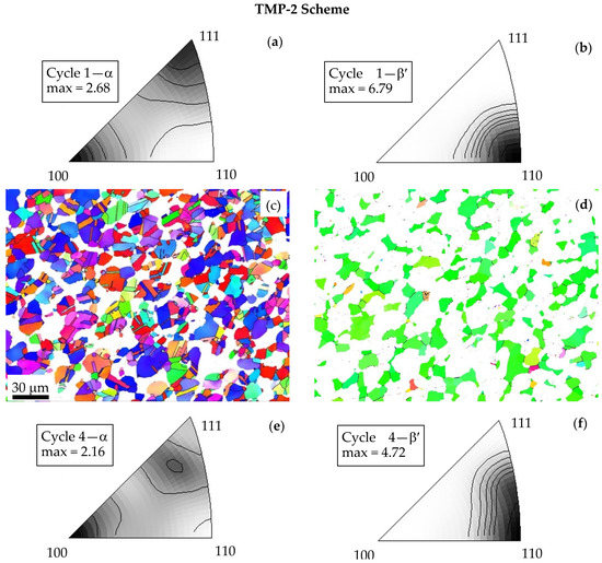 Microstructure and Texture Development in Thermomechanically Processed ...
