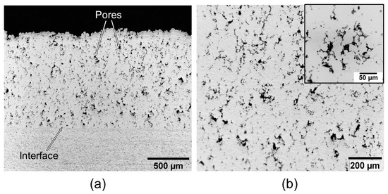 Post-Processing of Cold Sprayed Ti-6Al-4V Coatings by Mechanical Peening