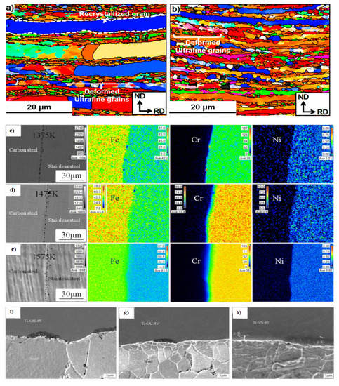 Roll Bonding Processes: State-of-the-Art and Future Perspectives