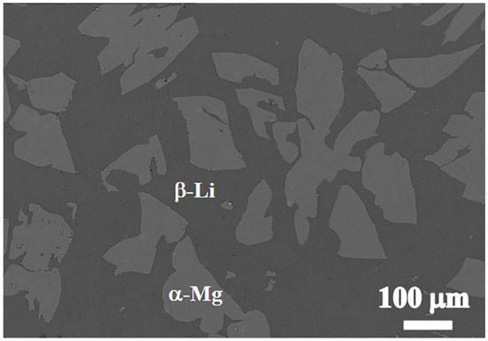 Dual-Layer Corrosion-Resistant Conversion Coatings on Mg-9Li Alloy via ...
