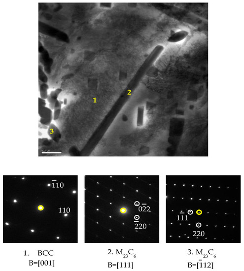 Effects of Primarily Solidified Dendrite and Thermal Treatments on the ...