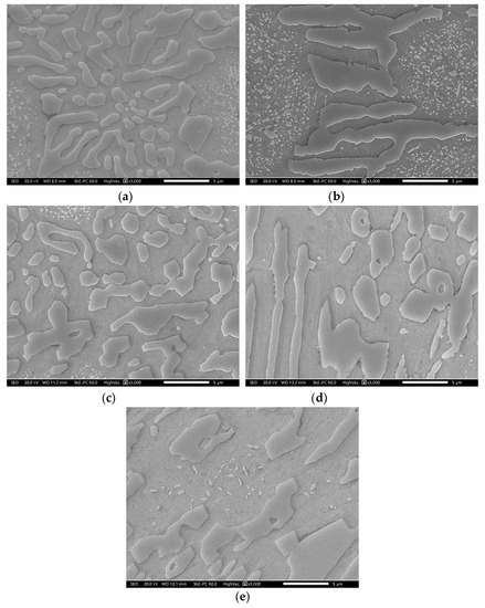 Effects of Primarily Solidified Dendrite and Thermal Treatments on the ...