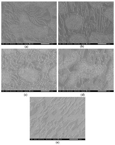 Effects of Primarily Solidified Dendrite and Thermal Treatments on the ...
