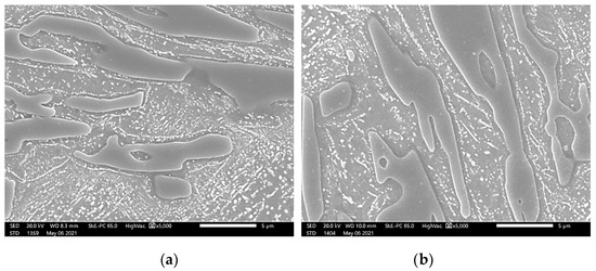 Effects of Primarily Solidified Dendrite and Thermal Treatments on the ...