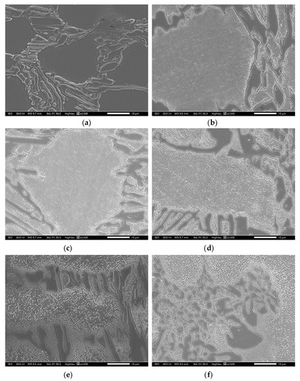 Effects of Primarily Solidified Dendrite and Thermal Treatments on the ...