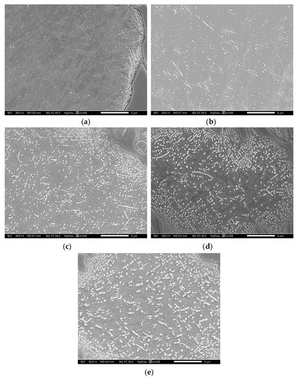 Effects of Primarily Solidified Dendrite and Thermal Treatments on the ...