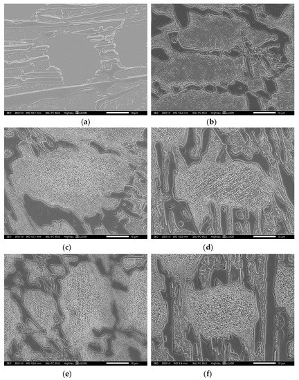 Effects of Primarily Solidified Dendrite and Thermal Treatments on the ...