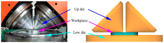 Numerical Model Simulation of the Double-Roll Rotary Forging of Large Diameter Thin-Walled Disk