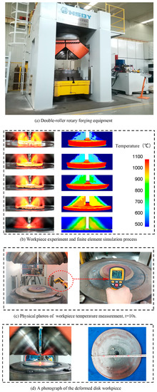 Numerical Model Simulation of the Double-Roll Rotary Forging of Large Diameter Thin-Walled Disk