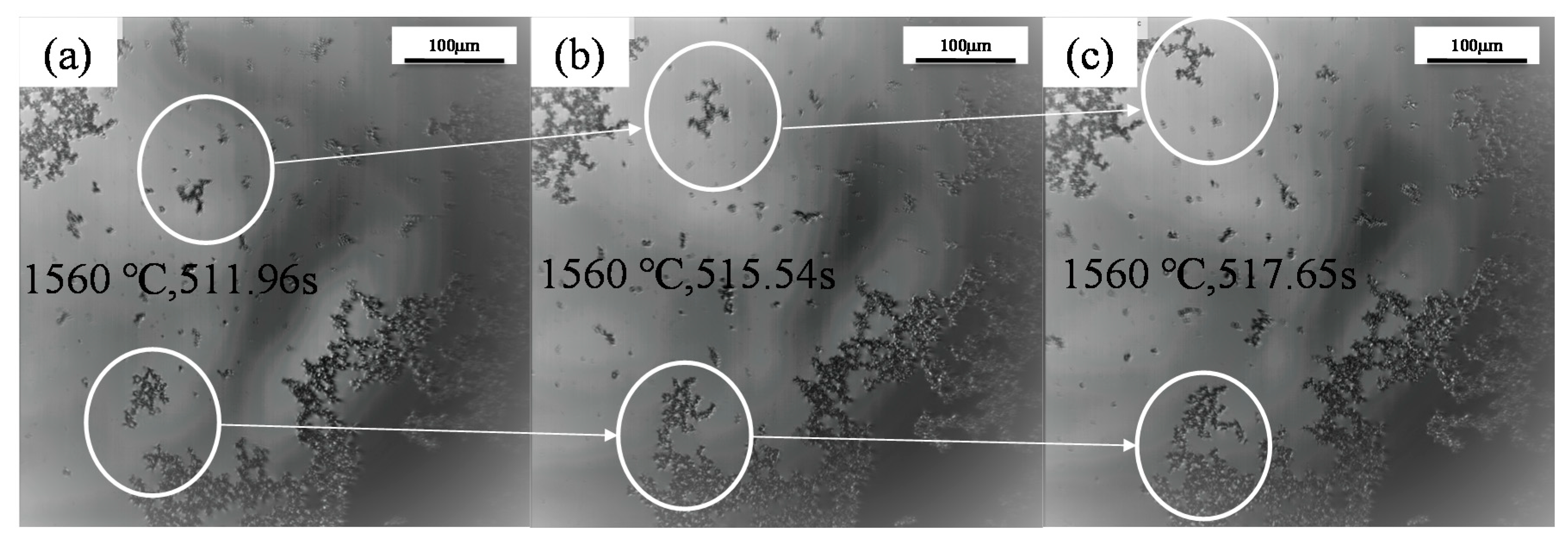 Dissolution Behavior of Different Inclusions in High Al Steel Reacted ...