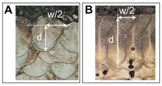 Linking In Situ Melt Pool Monitoring to Melt Pool Size Distributions and Internal Flaws in Laser ...