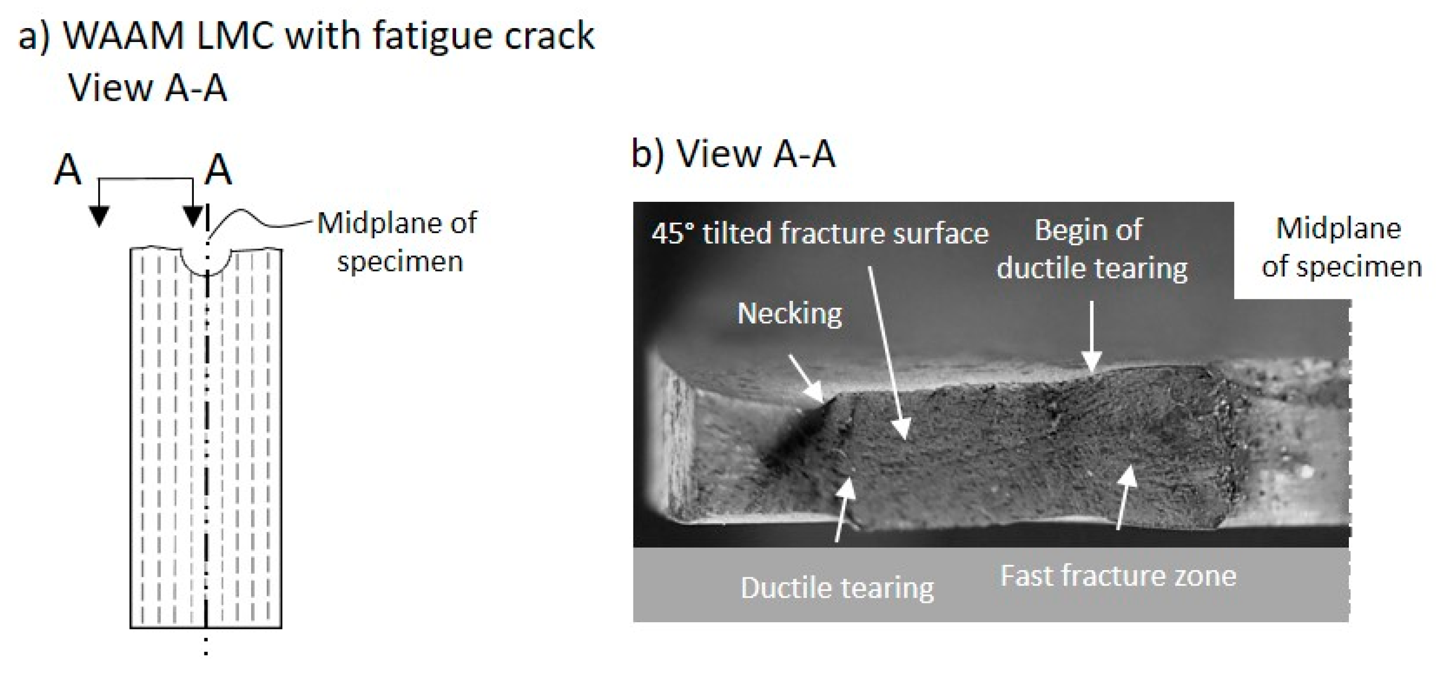 WAAM-Fabricated Laminated Metal Composites