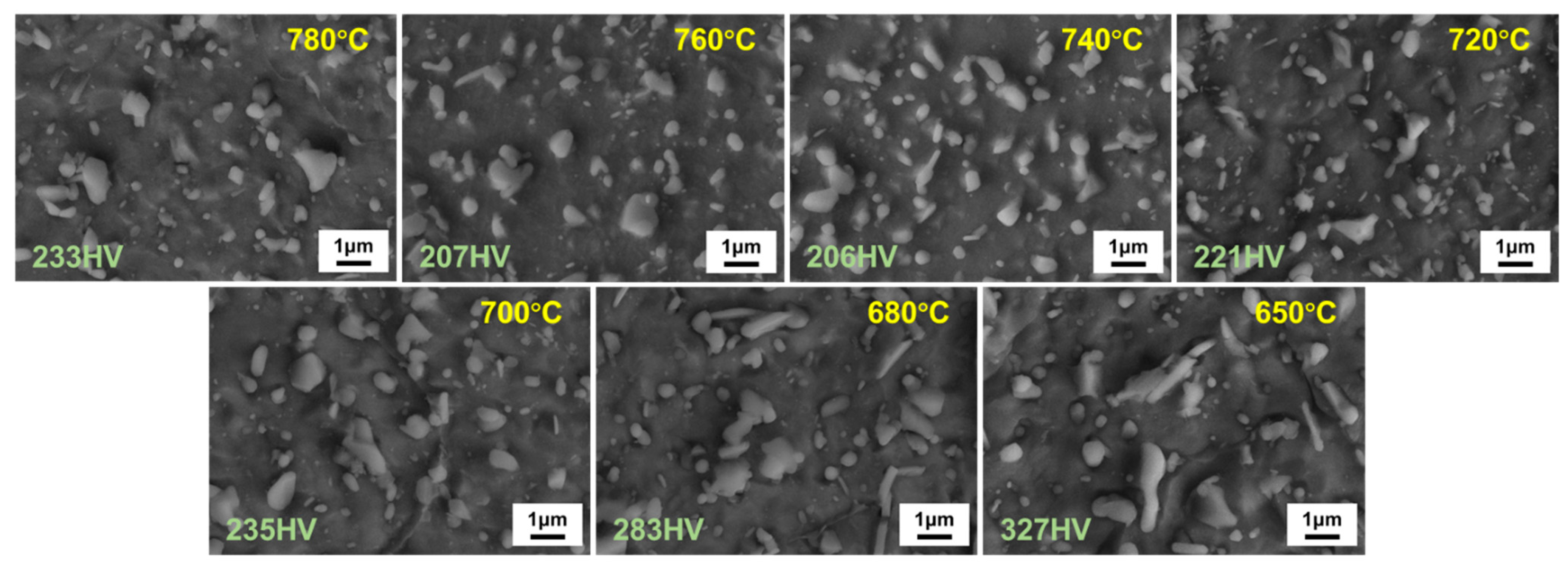 Rapid Spheroidizing Annealing via Combining Warm Deformation with ...