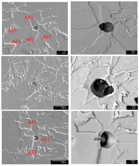 The Formation Mechanisms and Evolution of Multi-Phase Inclusions in Ti ...