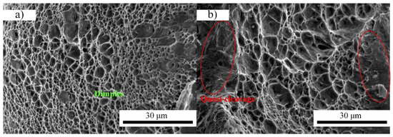 Study on the Effect of Microstructure Gradients Caused by Heat ...