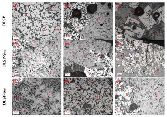 Study of the Double-Layer Sintering Process with Stand-Support