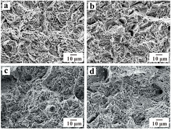 High-Cycle Fatigue Behavior and Fatigue Strength Prediction of ...