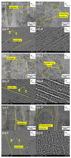 Effects of Heat Treatment on the Microstructure Evolution and ...