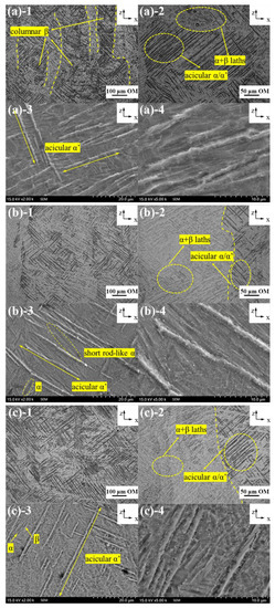 Effects of Heat Treatment on the Microstructure Evolution and ...