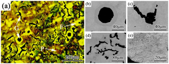 Microstructure, Inclusions, and Elemental Distribution of a Compacted ...