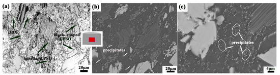 Advanced Forming Technology of Metallic Materials