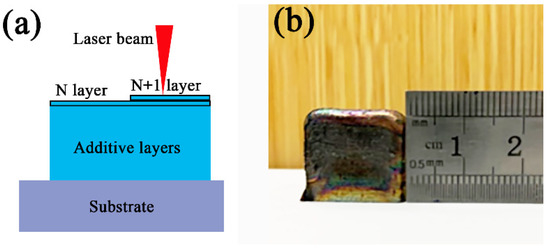 Study on Phase Transformation and Electrochemical Corrosion of TiNi ...