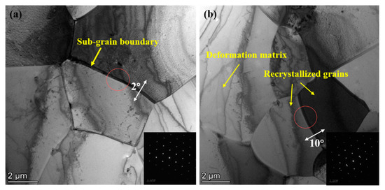 Recrystallization Behavior of Warm Rolling and Cold Rolling Cr-Ti-B ...